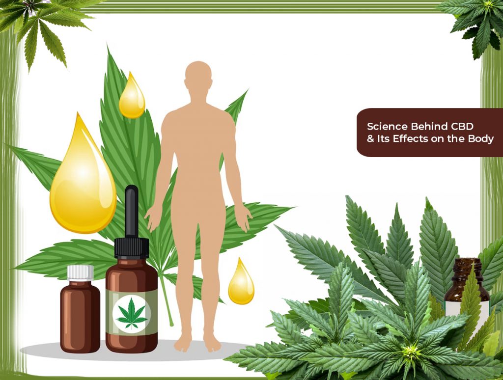 Exploring the Science Behind CBD and Its Effects on the Body – CBD Adroit